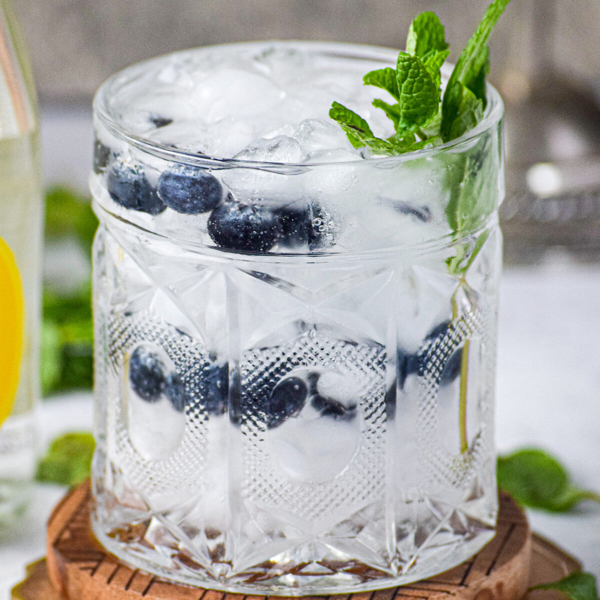 Blueberry Mint Gin and Tonic - The Jam Jar Kitchen