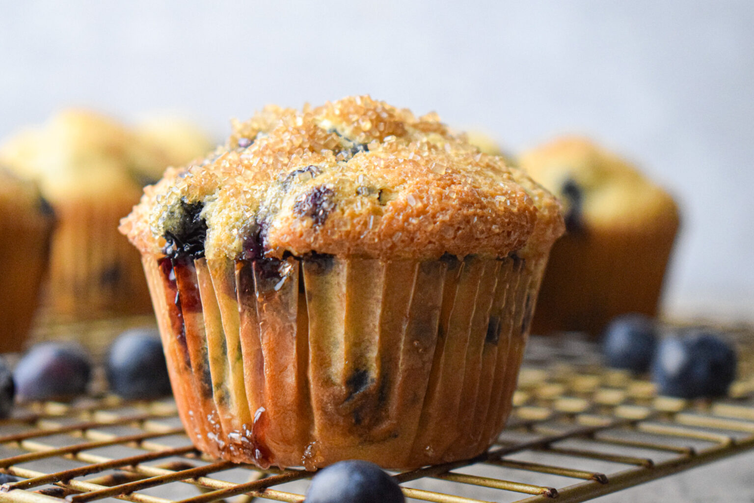 Blueberry Buttermilk Muffins - The Jam Jar Kitchen